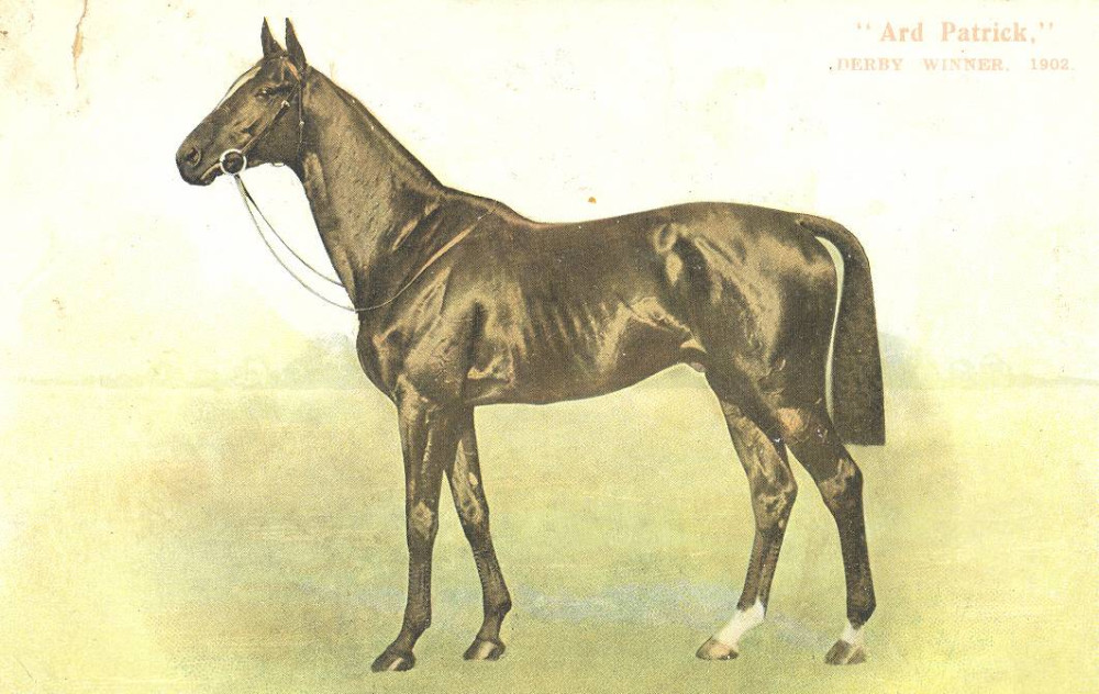 Playgun Quarter Horse