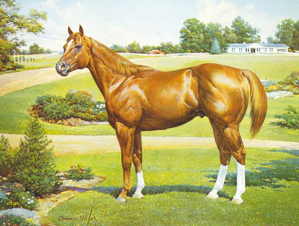 Zippo Dandy Quarter Horse
