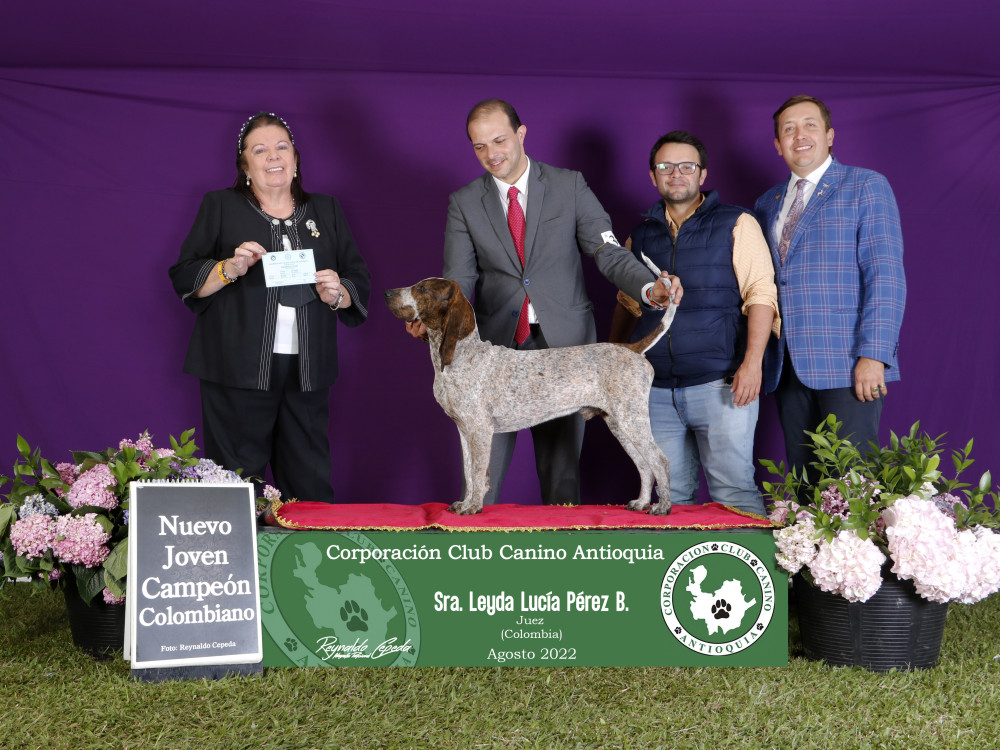 Tinto Del Rastro Criollo Pedigree