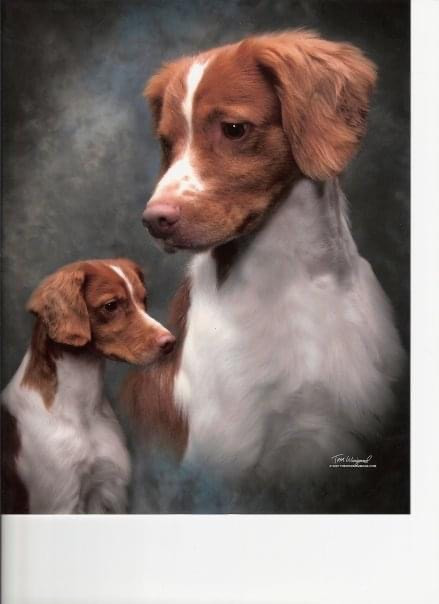 Dualan Marsport Supercharger Ancestor Photos