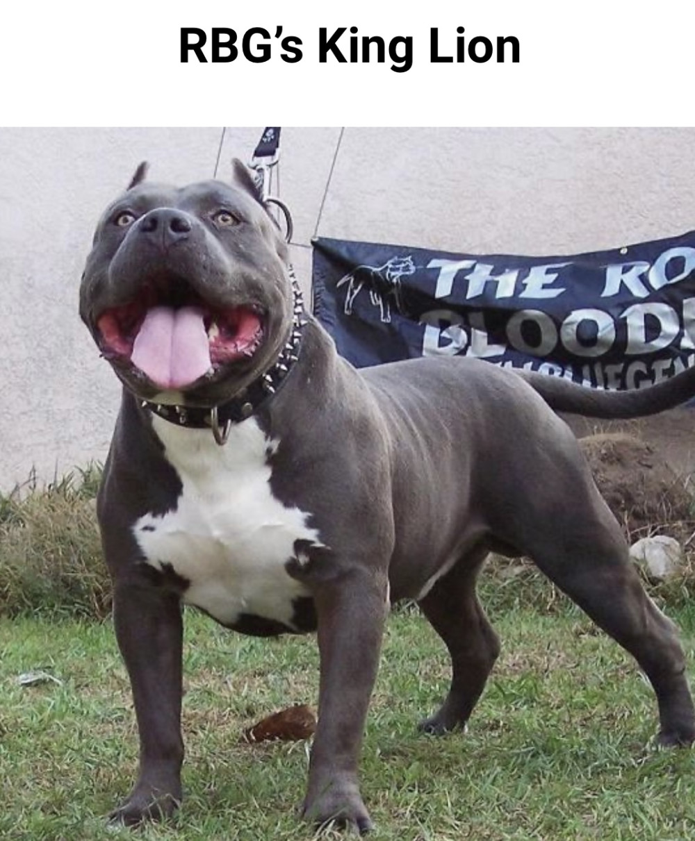 MVP’s Bronx Pedigree