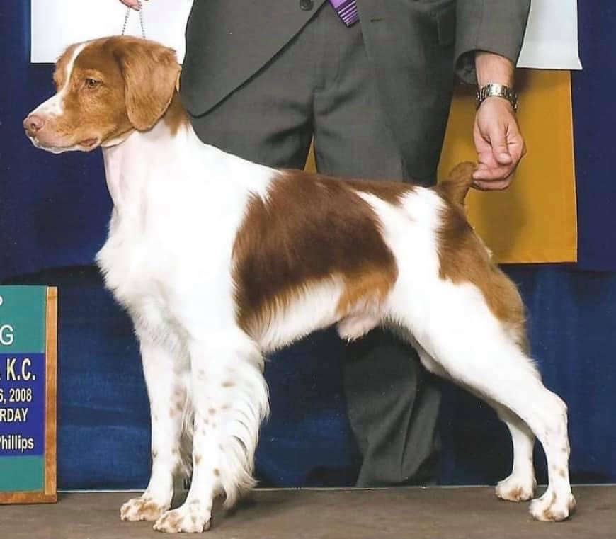 Dualan Marsport Supercharger Ancestor Photos