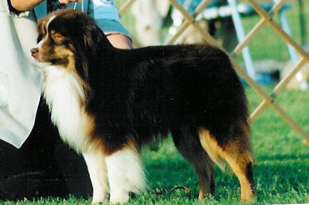 Tresrullah’s Calculated Pedigree