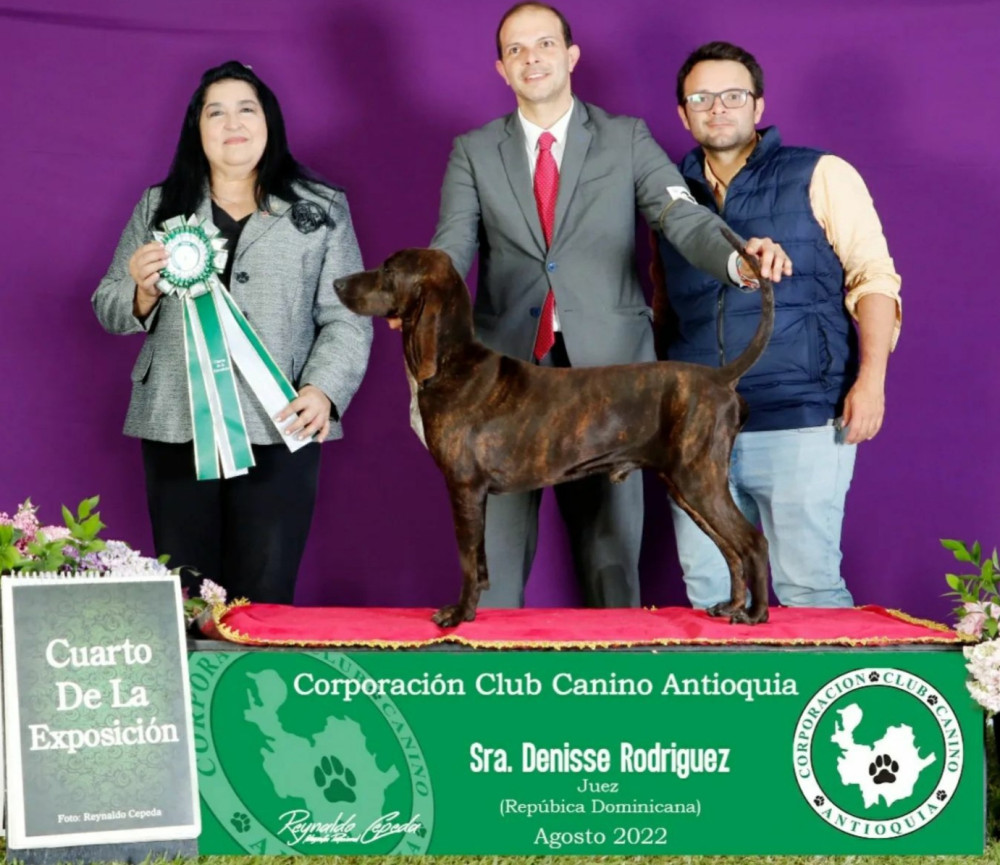 Tinto Del Rastro Criollo Pedigree