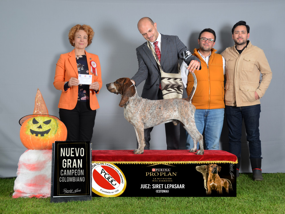 Tinto Del Rastro Criollo Pedigree