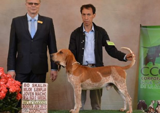 Mont Blue Don Danilo de Diamond Blue Pedigree