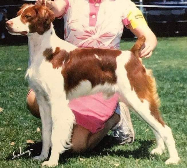 Tk's Dancing Across The Sky Pedigree