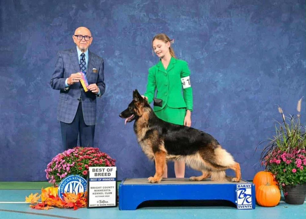 Schneiderhof's Morticia Addams von Knallhart Pedigree