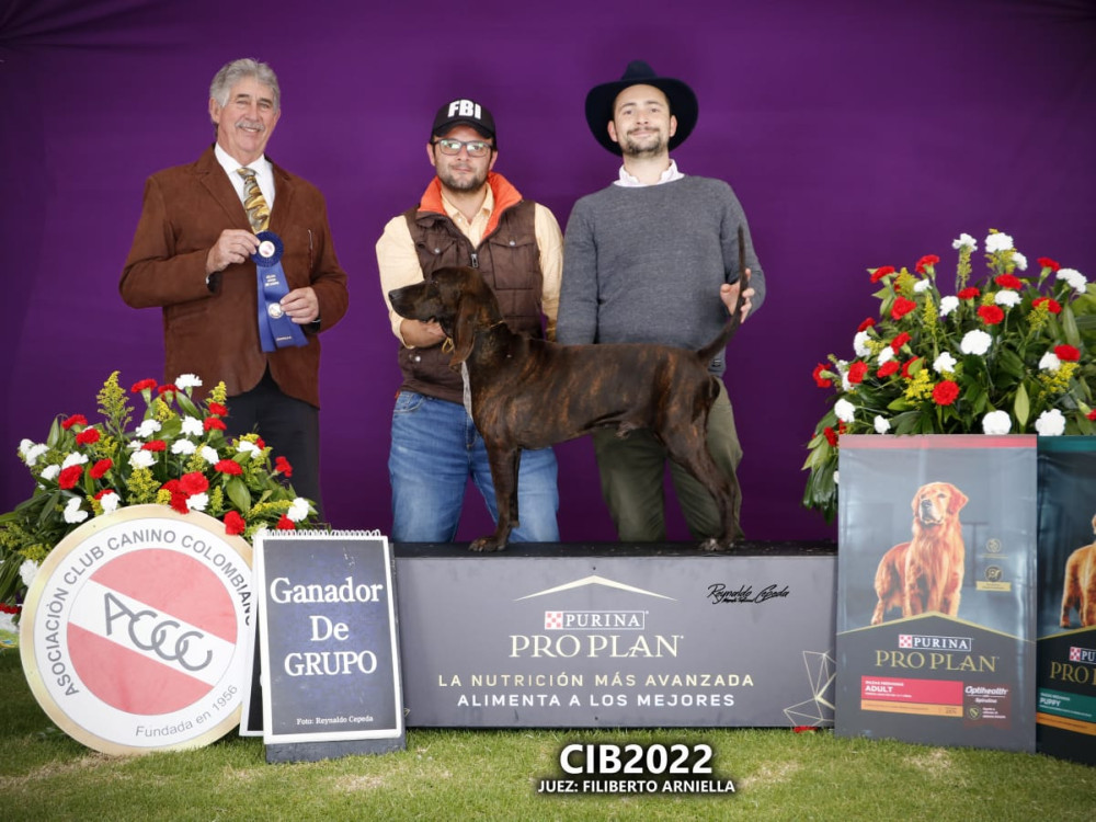 Tinto Del Rastro Criollo Pedigree