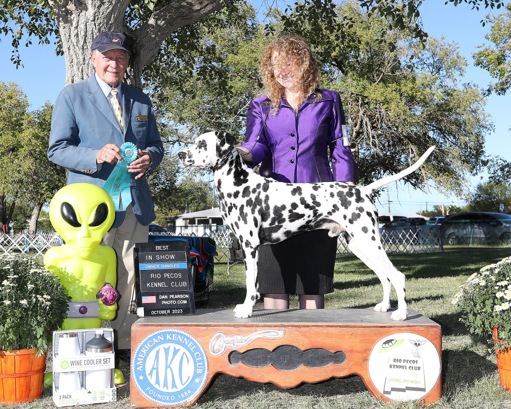 D'vine Don't You Shush Me Pedigree