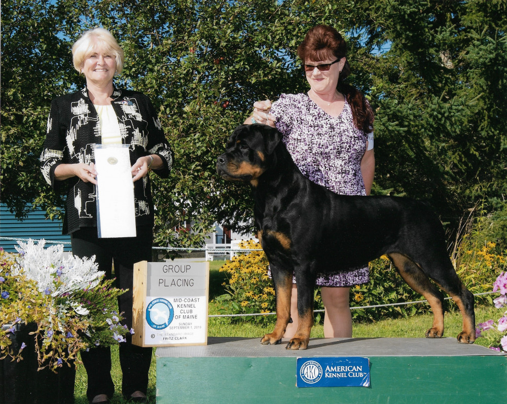 VonBremen's Dolce' Vida Pedigree