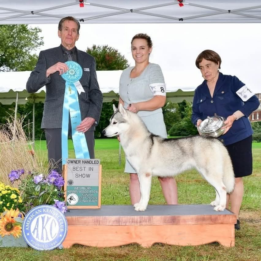 Virginia Fox De SantGrial Pedigree