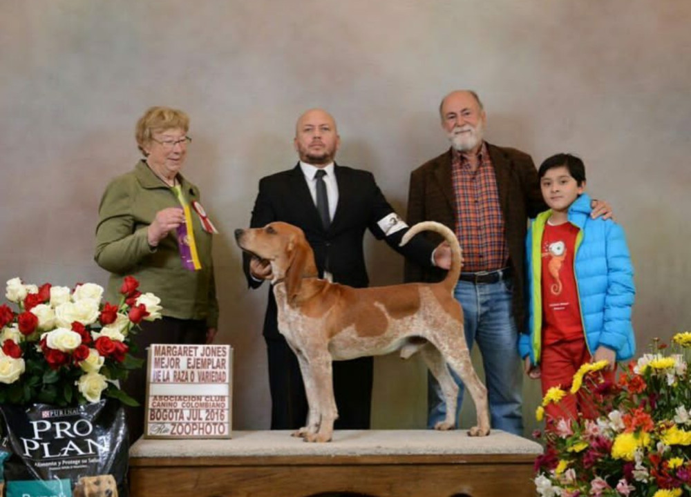 Mont Blue Don Danilo de Diamond Blue Pedigree