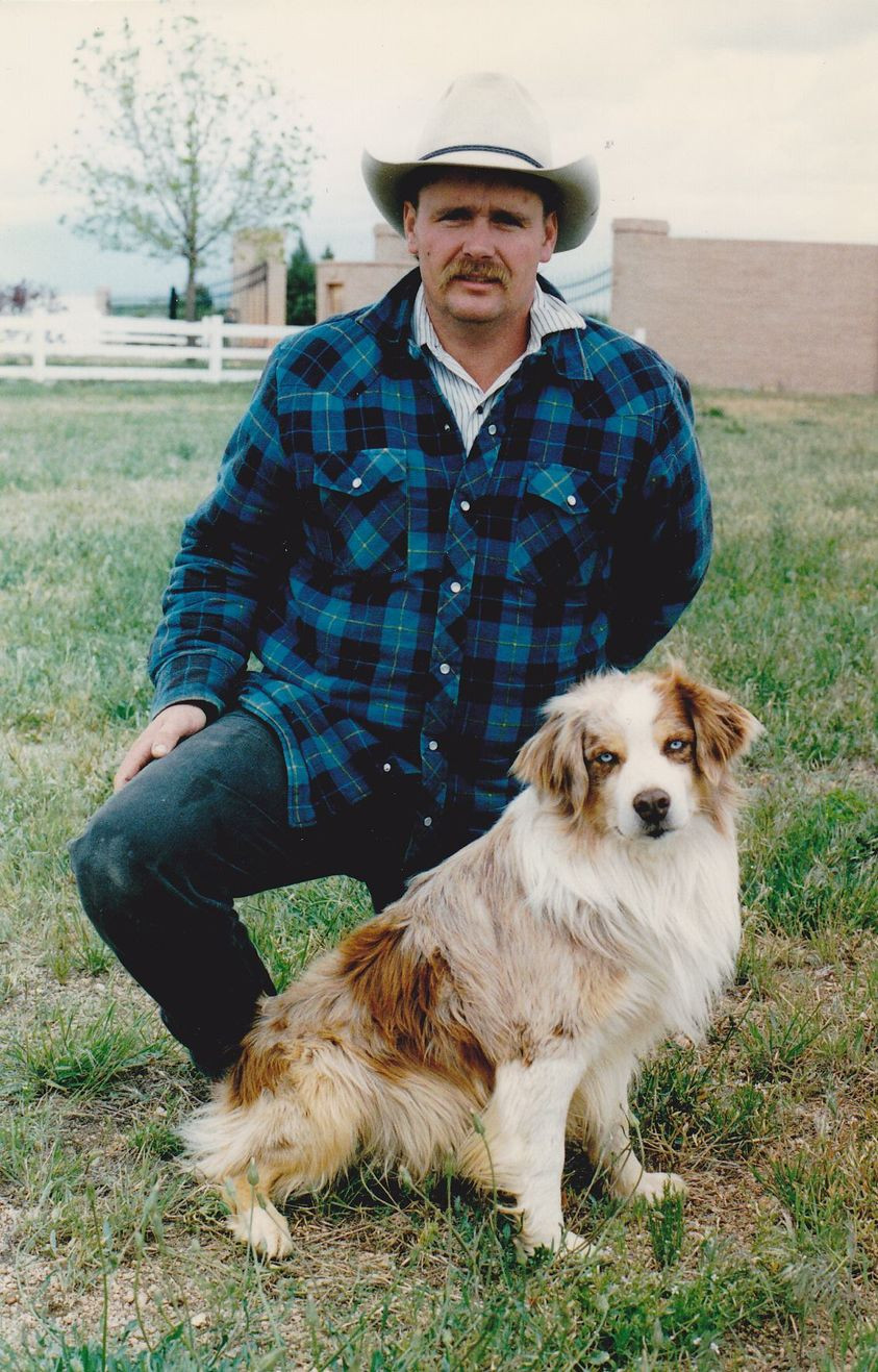 Pincie Creek Money Sizzler Pedigree