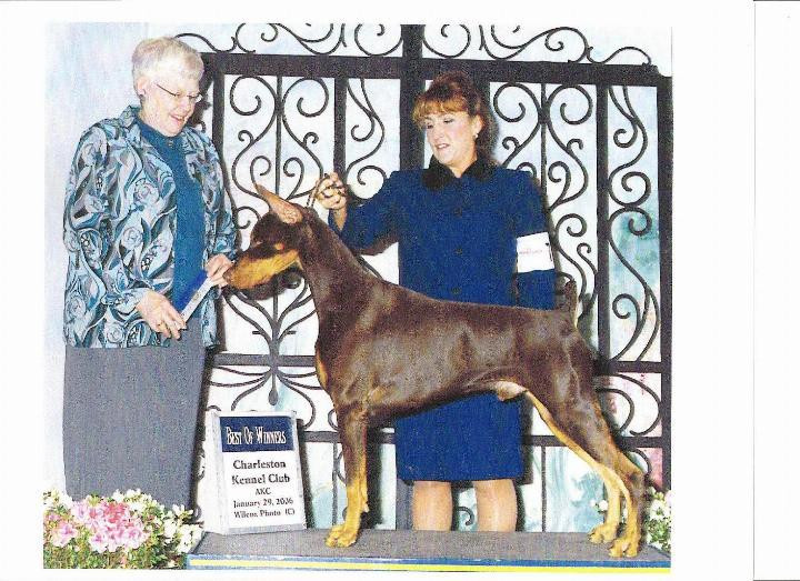 Kettle Cove N Ashtrick Dirty Dancing Pedigree