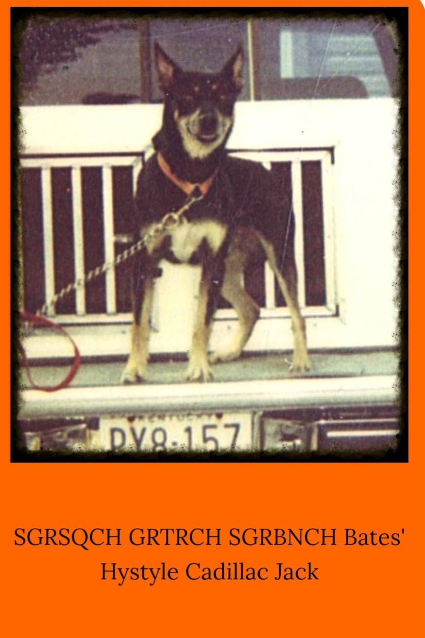 Kelley's Lucy Pedigree