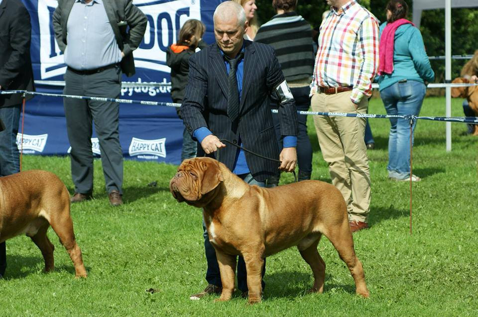 Shery Du Chant Des Bruants Pedigree