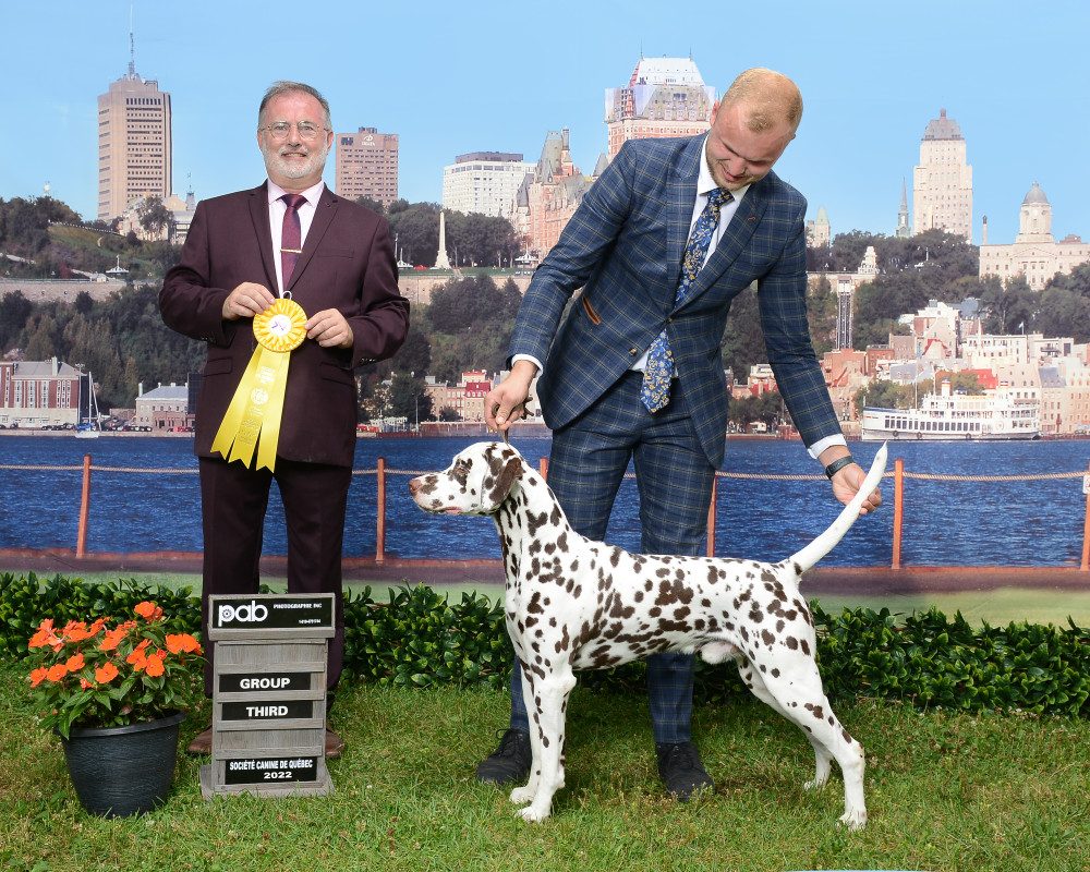 DotsOn Dancing with the Stars Pedigree