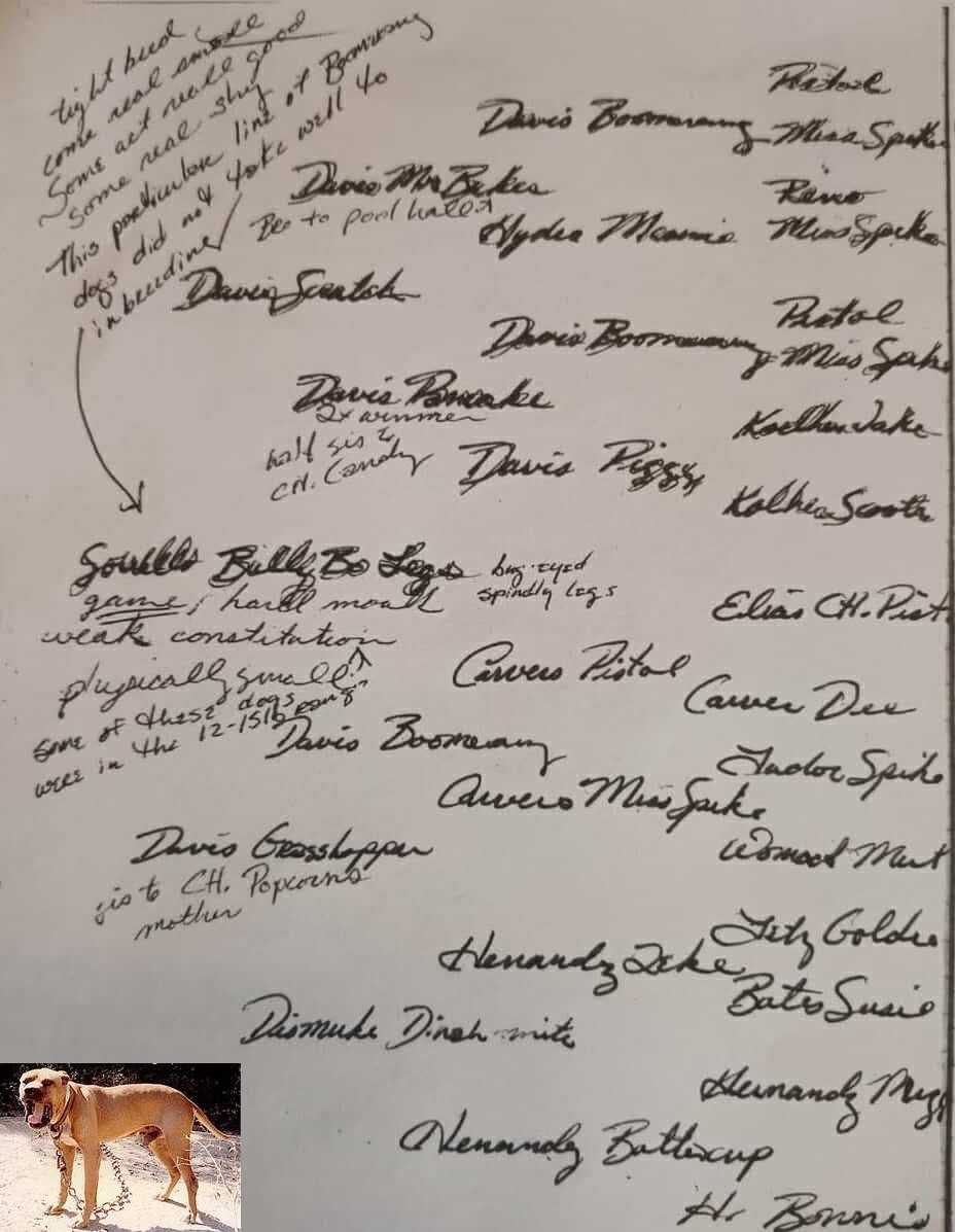 Chavez's Smoke Stack Ancestor Photos