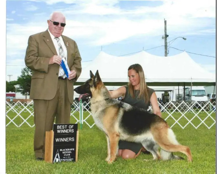 Kenlyn Marquis' Queen Of Hearts Pedigree
