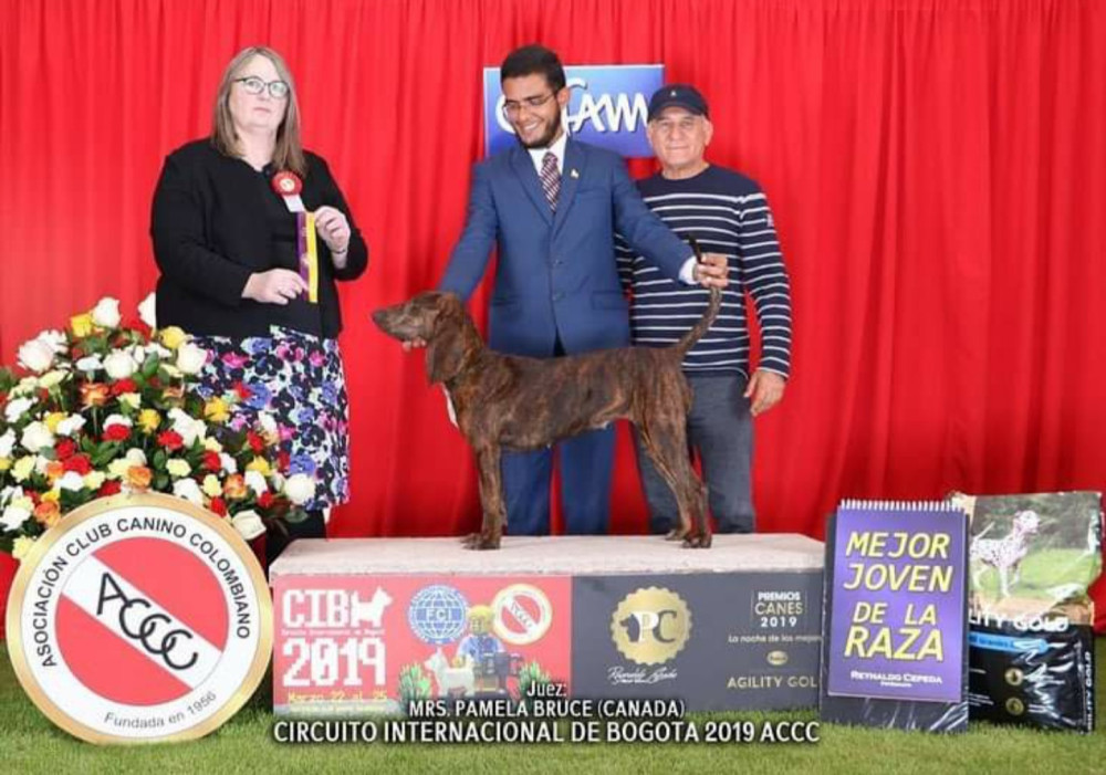 Chicha de la Perla del Otún Pedigree