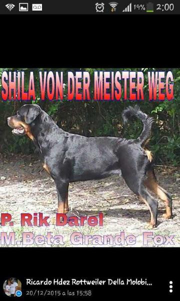 Offspring of Rik Darel