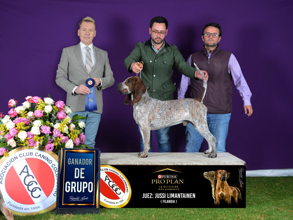 Tinto Del Rastro Criollo Pedigree