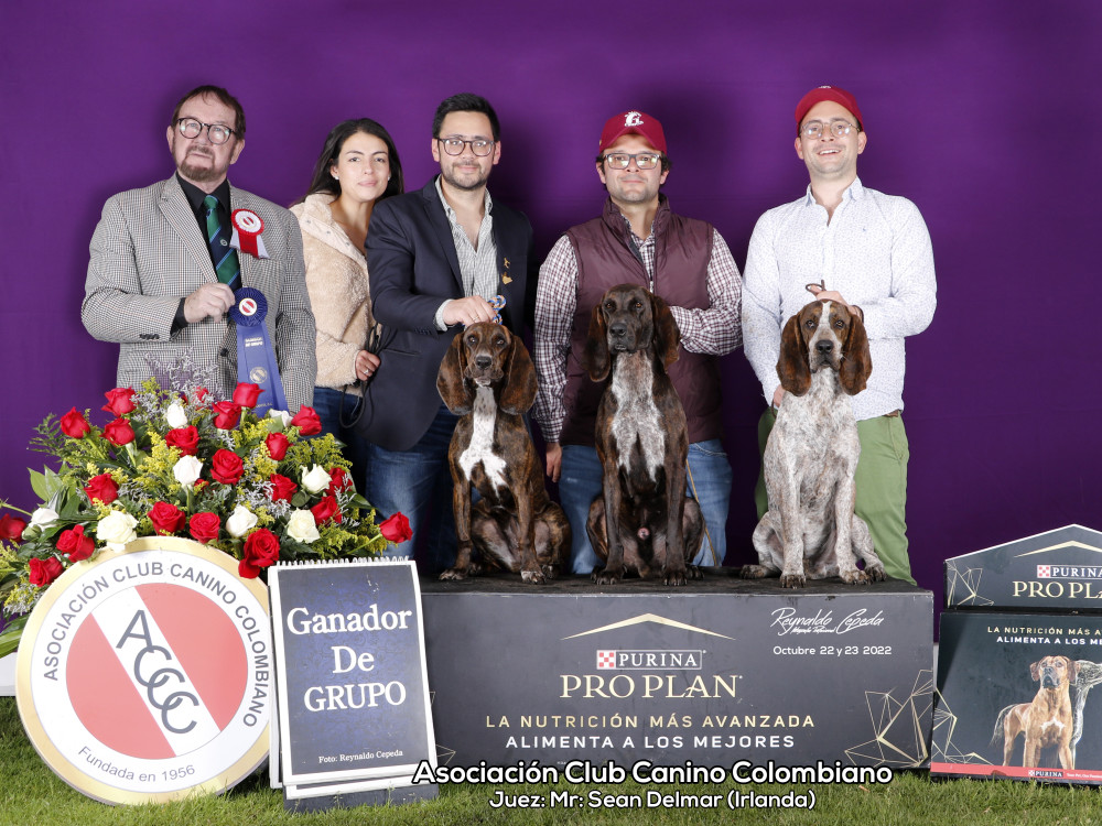 Tinto Del Rastro Criollo Pedigree