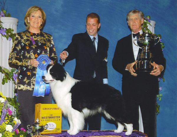 Avatar Bayshore's Scarlet Fever Pedigree