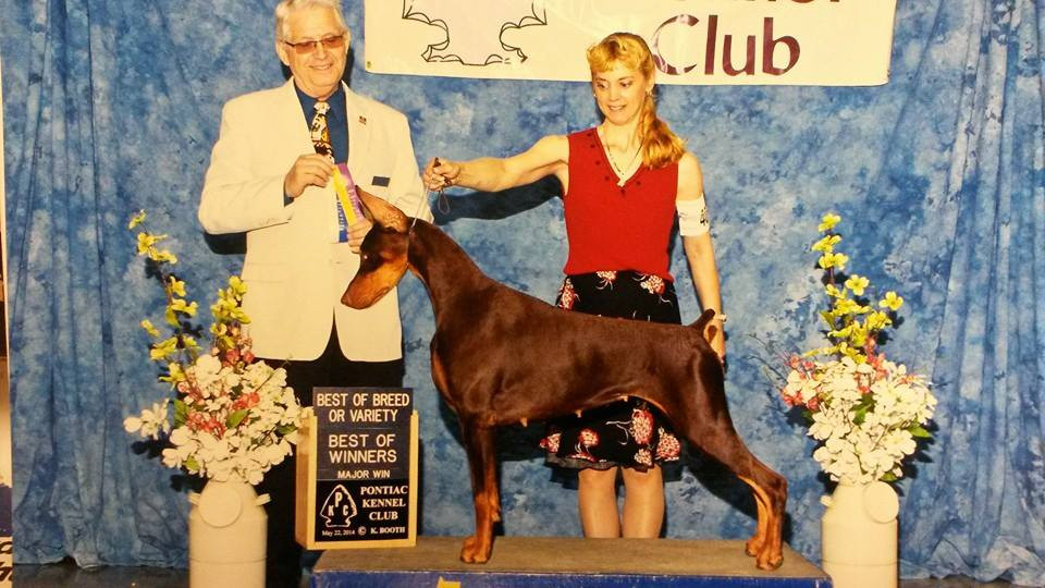 Allettare Wild Night Ryder Pedigree